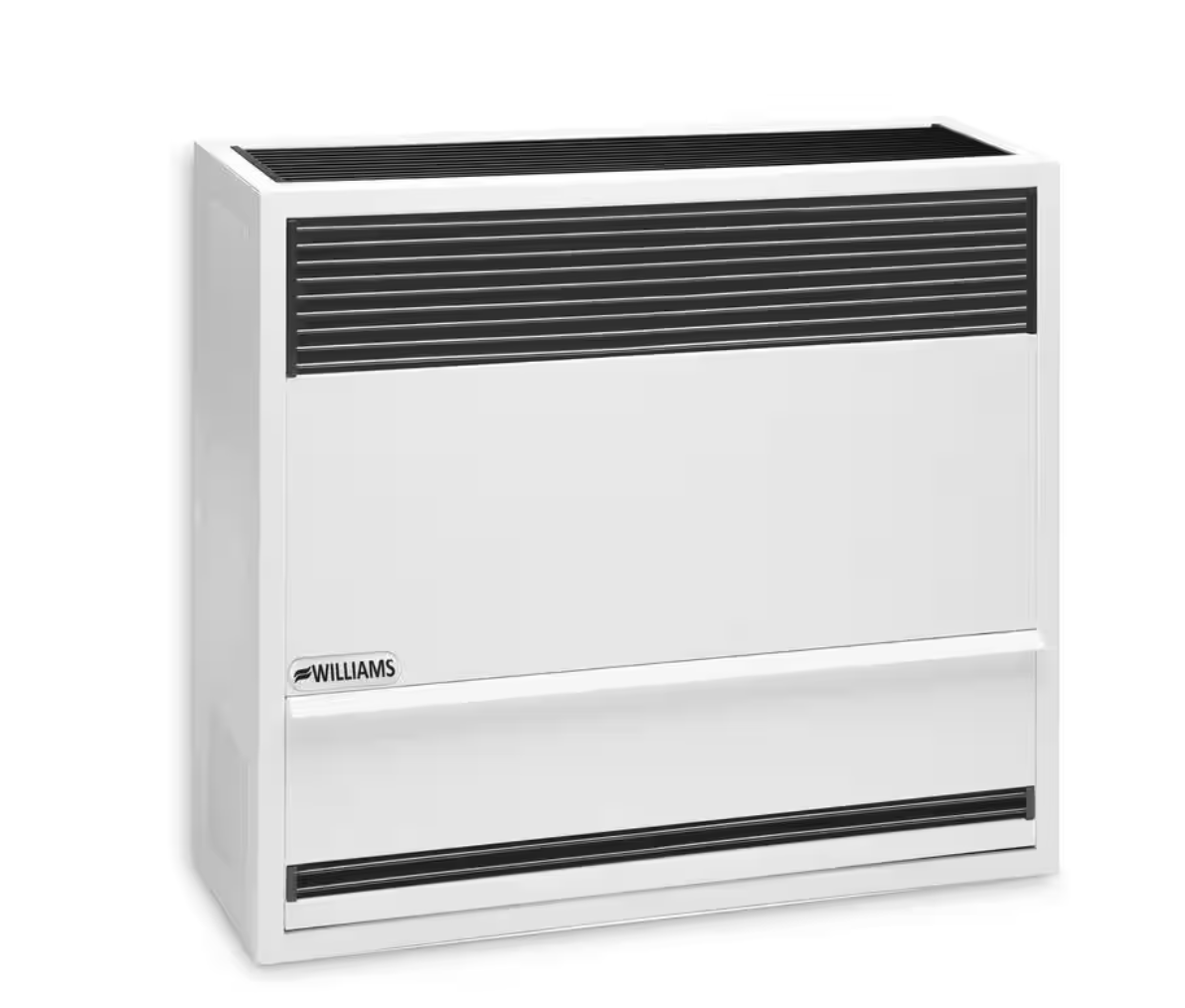 Williams Direct-Vent Gravity Wall Heater 30,000 BTUH, 66% AFUE, Natural ...