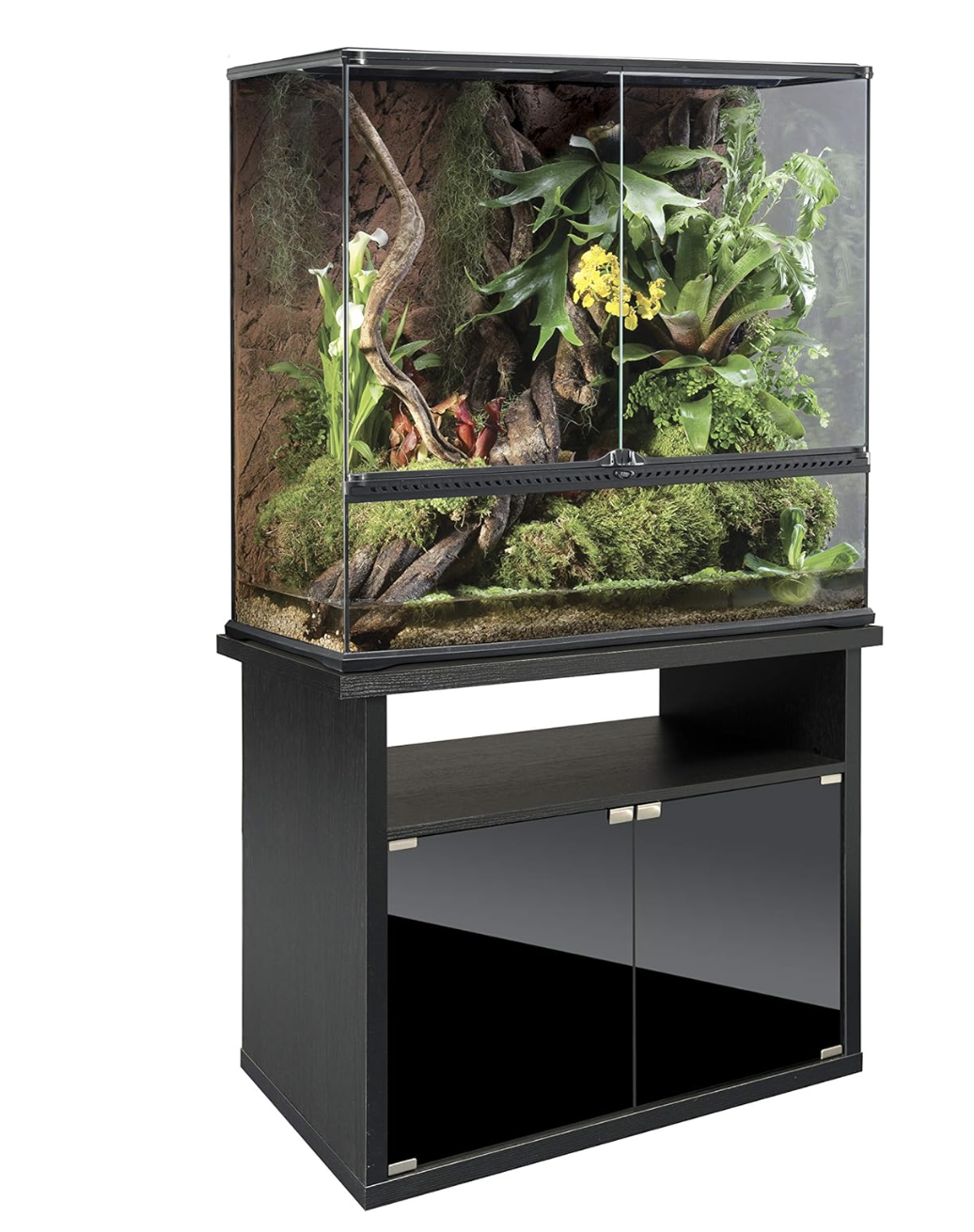 Exo Terra Terrarium Cabinet, Reptile and Amphibian Terrarium Stand ...
